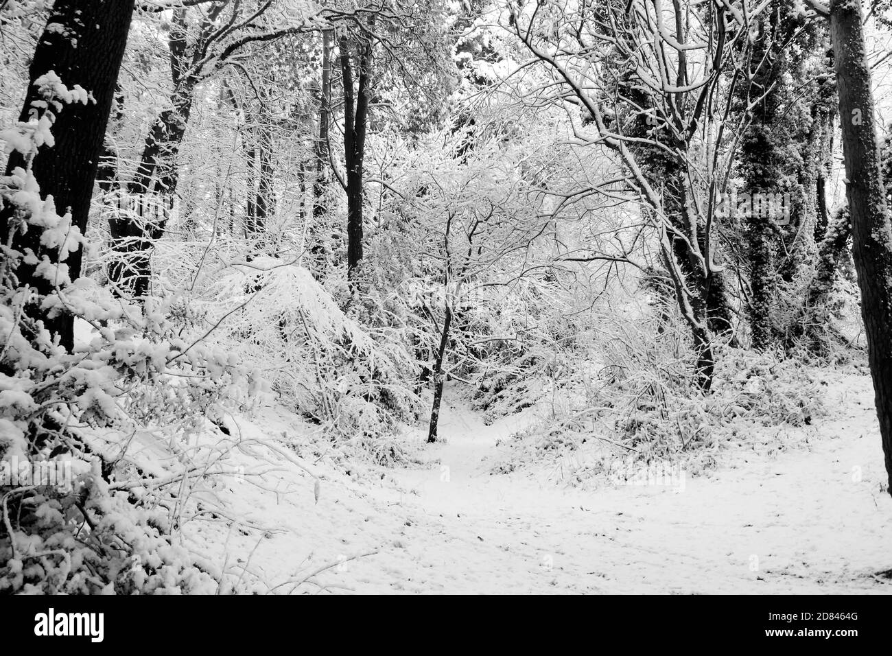 Pathway with black ice Black and White Stock Photos & Images - Alamy
