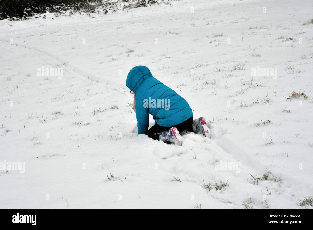 winter snow scene with young girl sledging down snowy bank in a bright ...