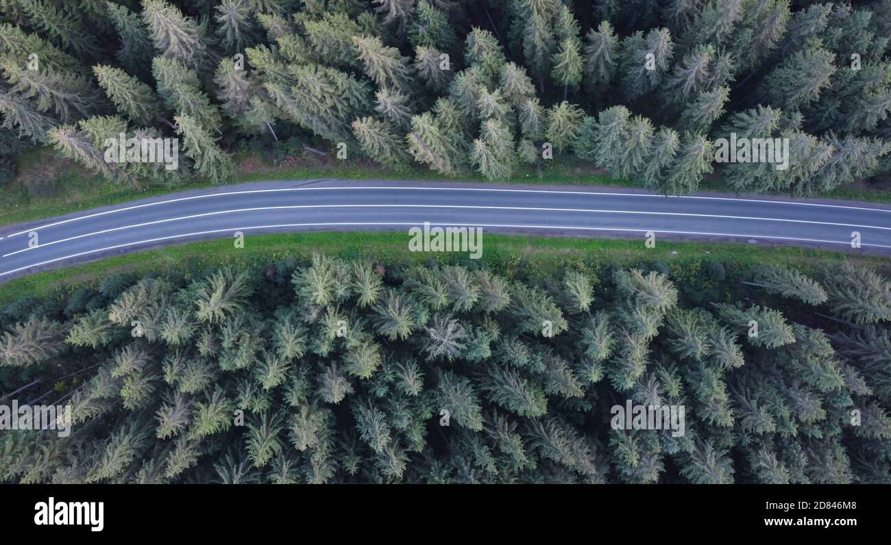 Road through the green spruce forest, aerial view Stock Photo - Alamy