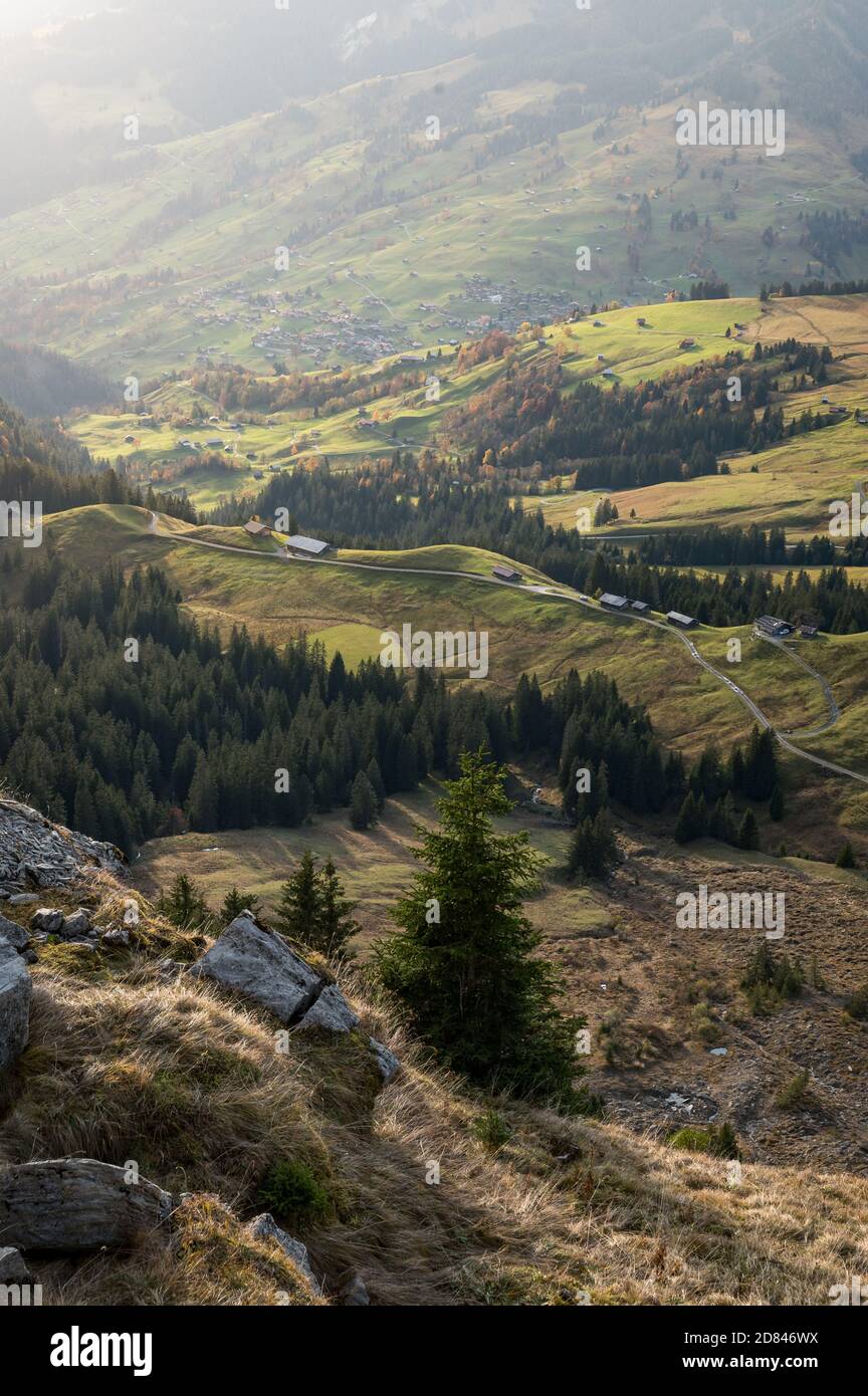 Habkern hi-res stock photography and images - Alamy