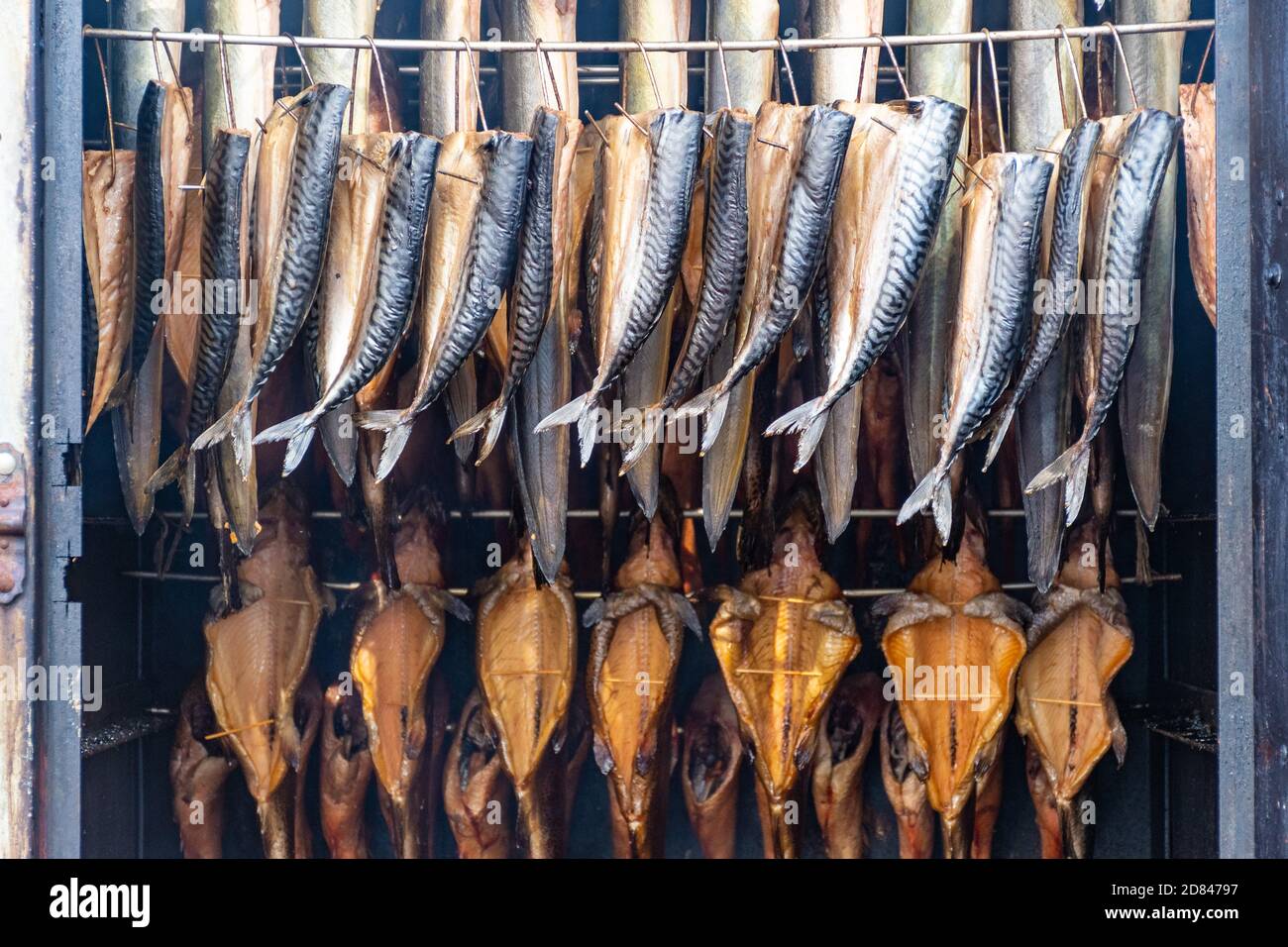 Dry smoked spiced mackerel and other fish in a smoker in a traditional ...
