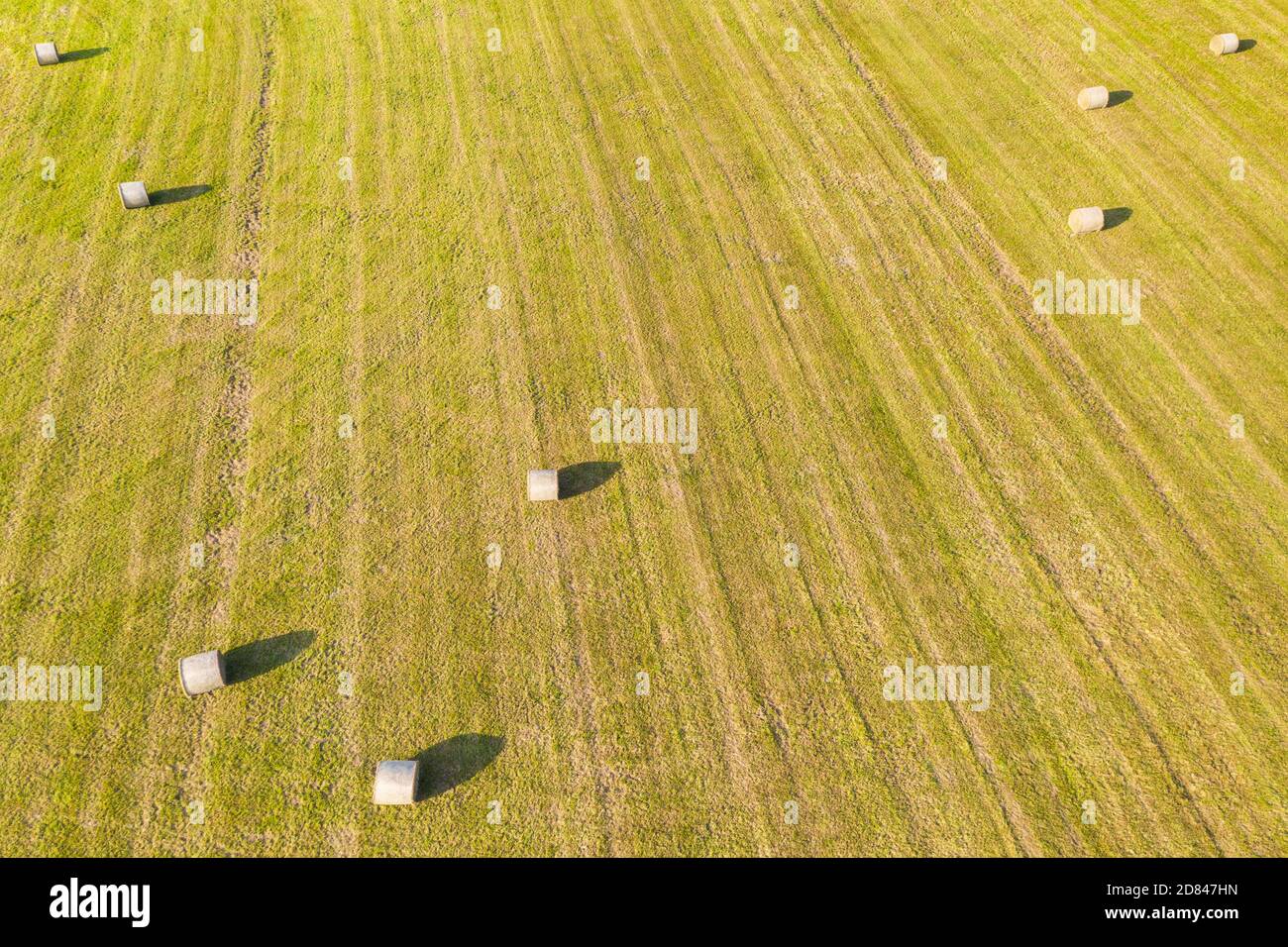 Hay bale from above hi-res stock photography and images - Alamy