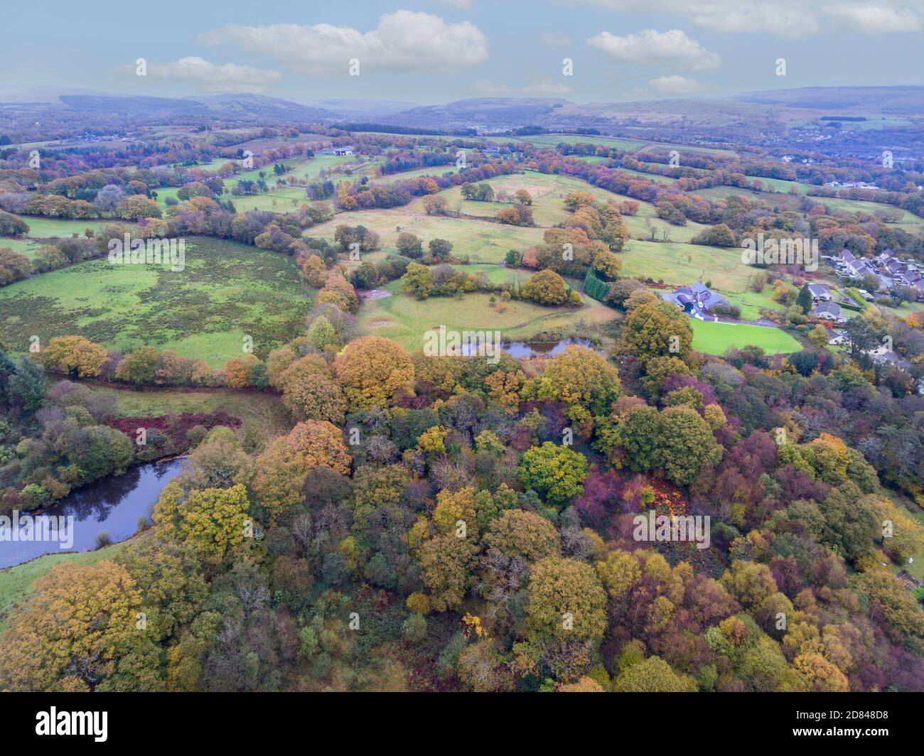 Autumn in treetops hi-res stock photography and images - Alamy