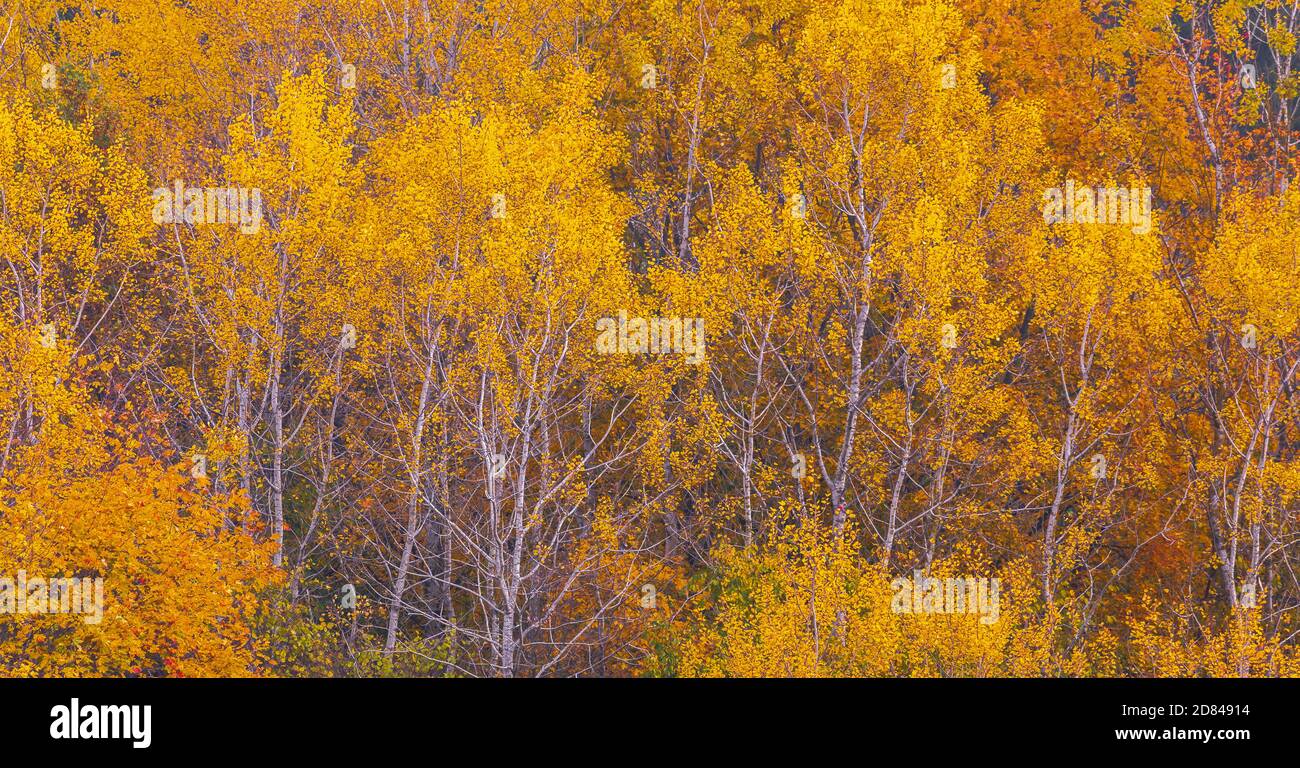 Vibrant scenery hi-res stock photography and images - Alamy