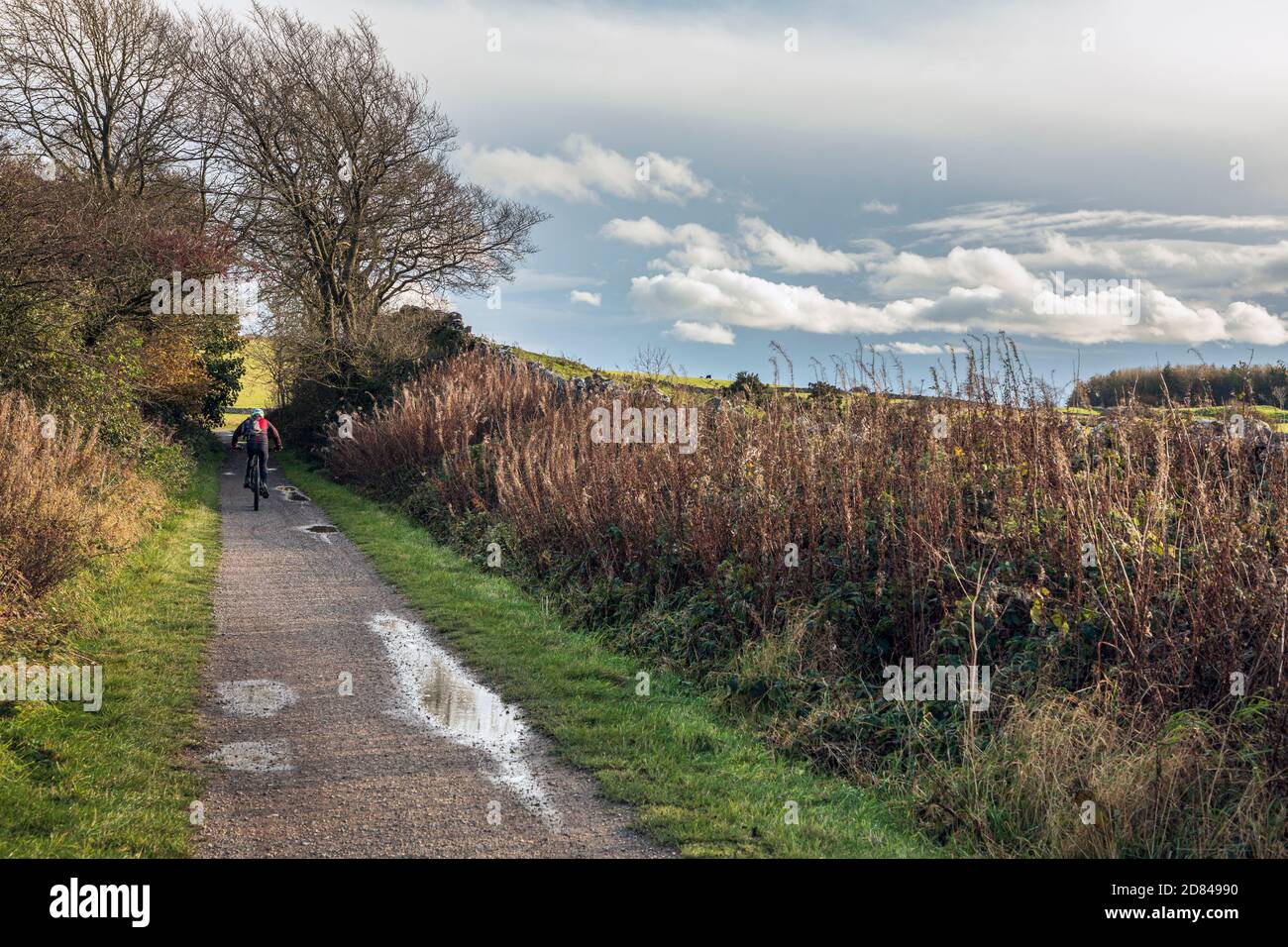 A cyclist on the High Peak Trail at Minninglow, Peak District ...