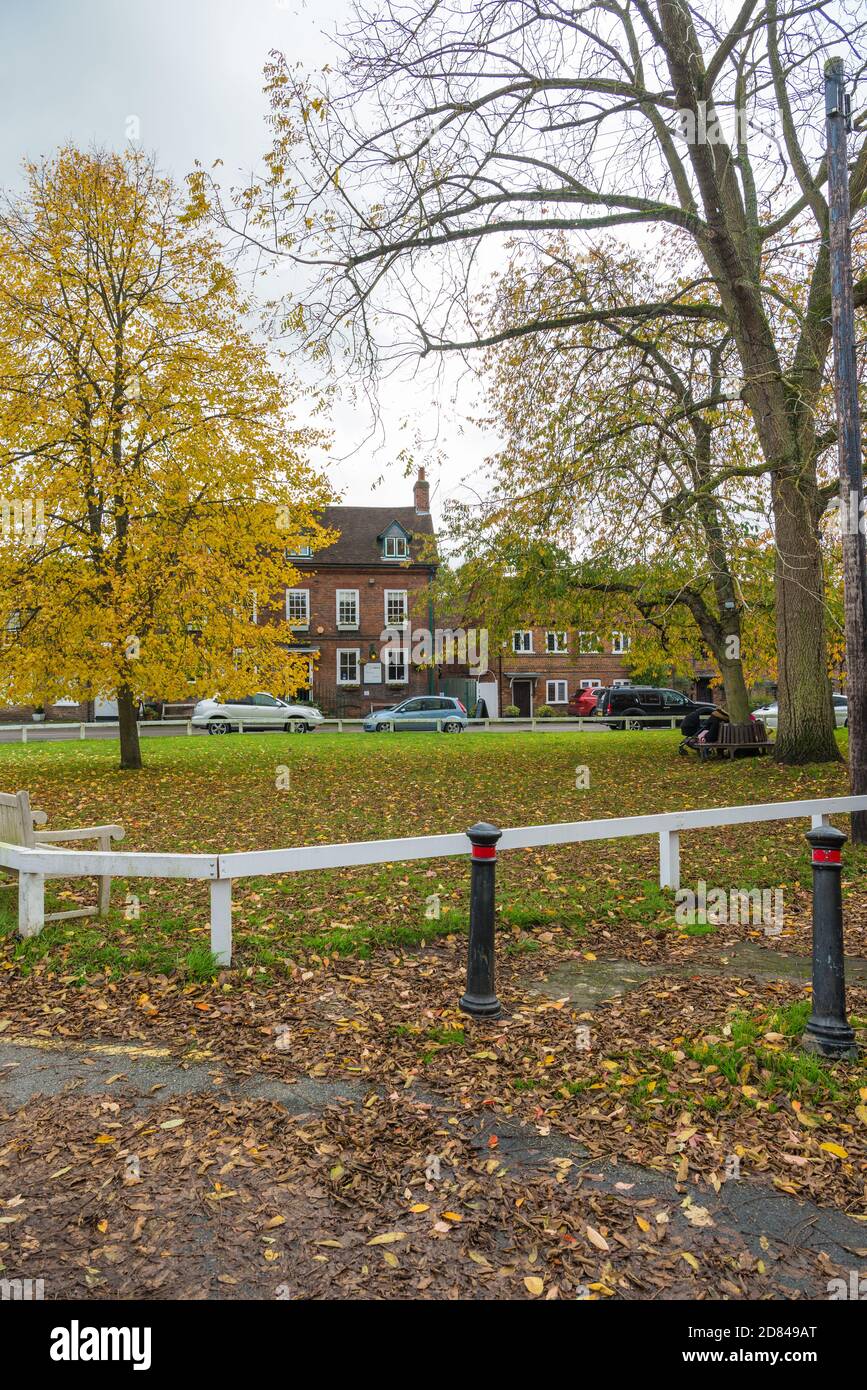 Trees displaying autumn colour at the village green, Denham village ...
