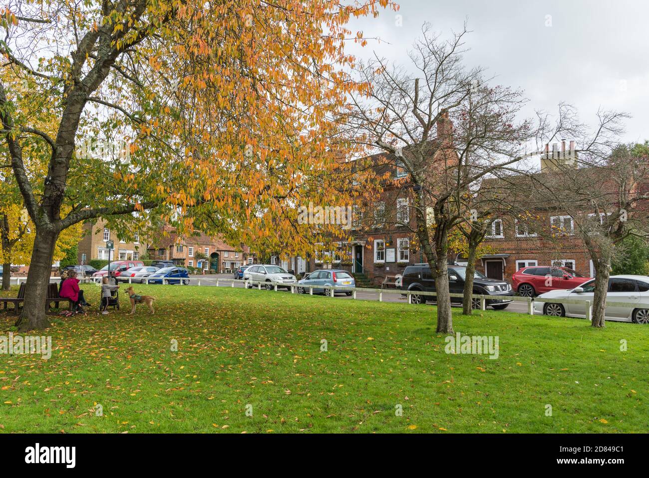Trees displaying autumn colour at the village green, Denham village ...