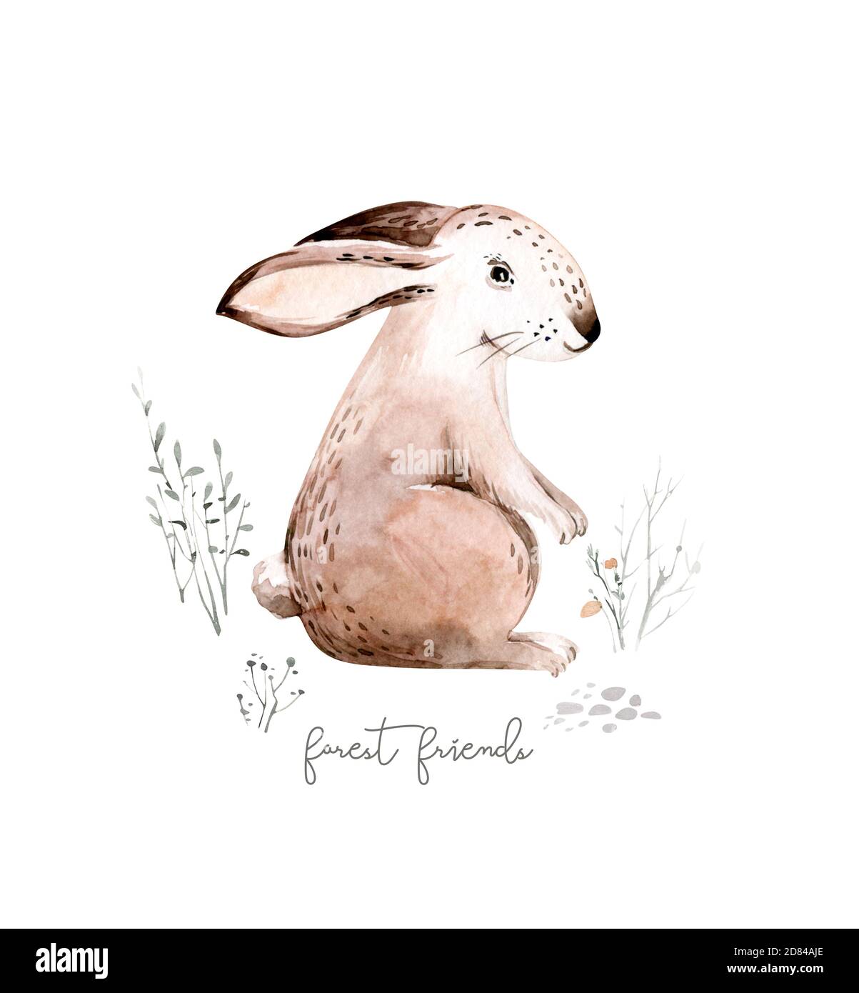Woodland watercolor cute animals baby rabbit. Nursery bunny ...