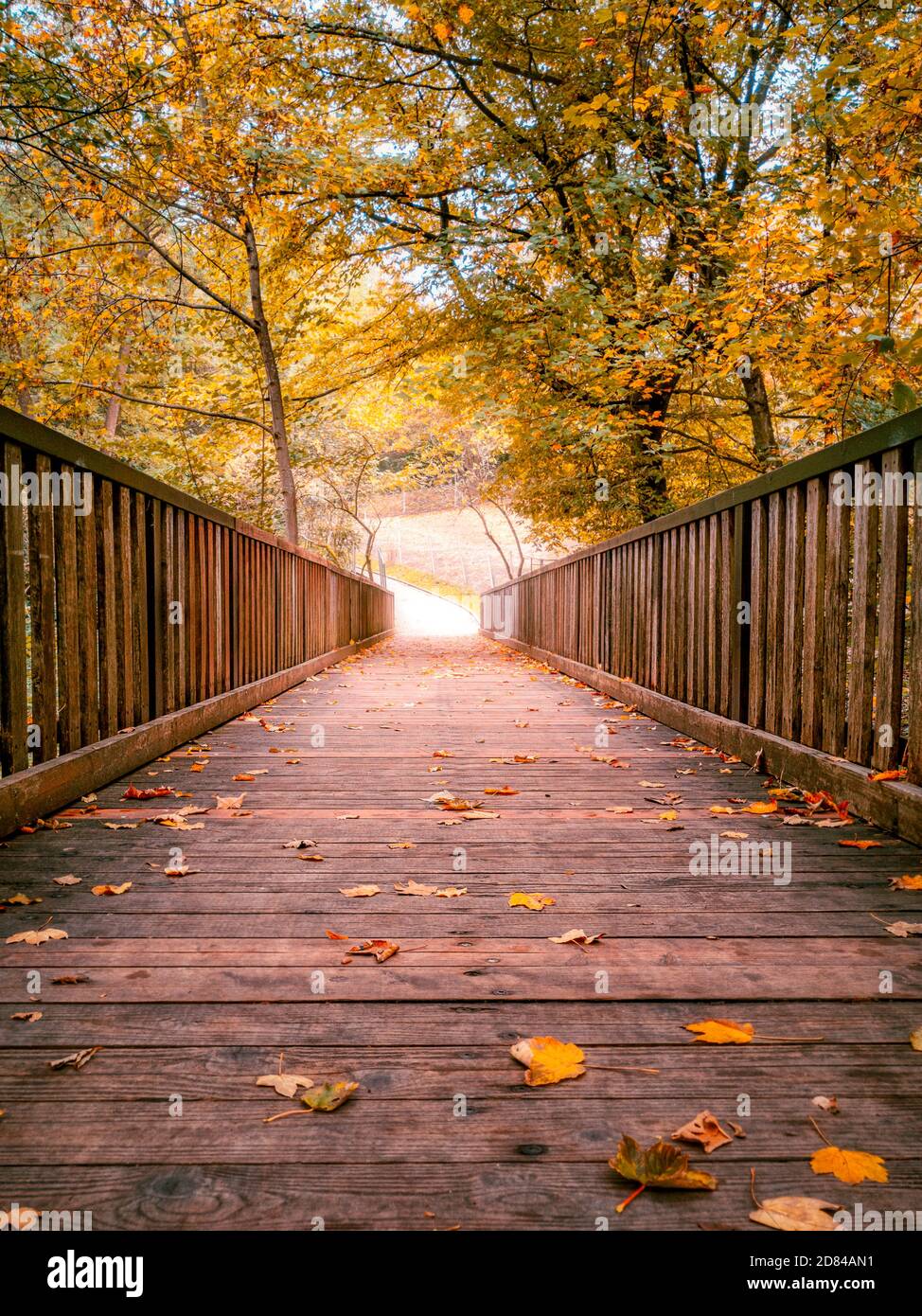 the last leaves of autumn adorn a zoo bridge in saarbrucken Stock Photo ...