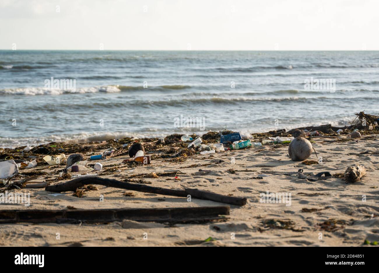 KOH SAMUI, THAILAND - December 15, 2019: Beach pollution such as ...
