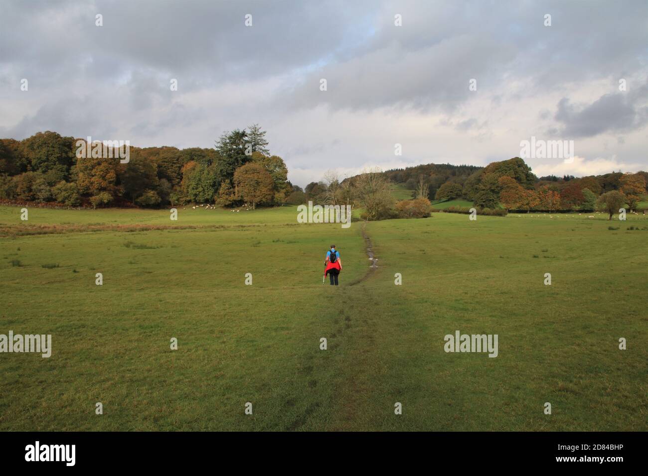 Hiker walker rear view hi-res stock photography and images - Alamy