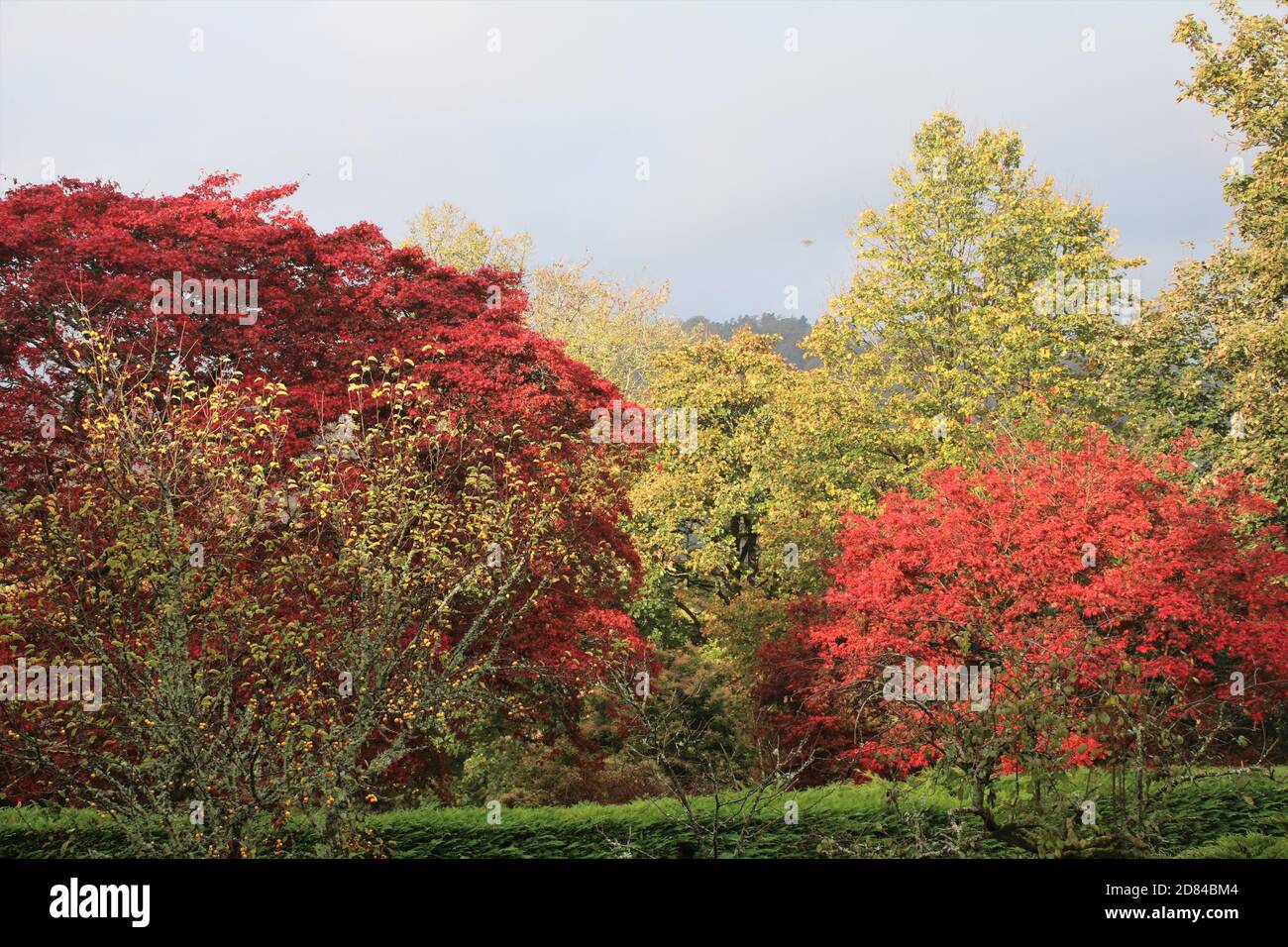 the colours of autumn Stock Photo - Alamy