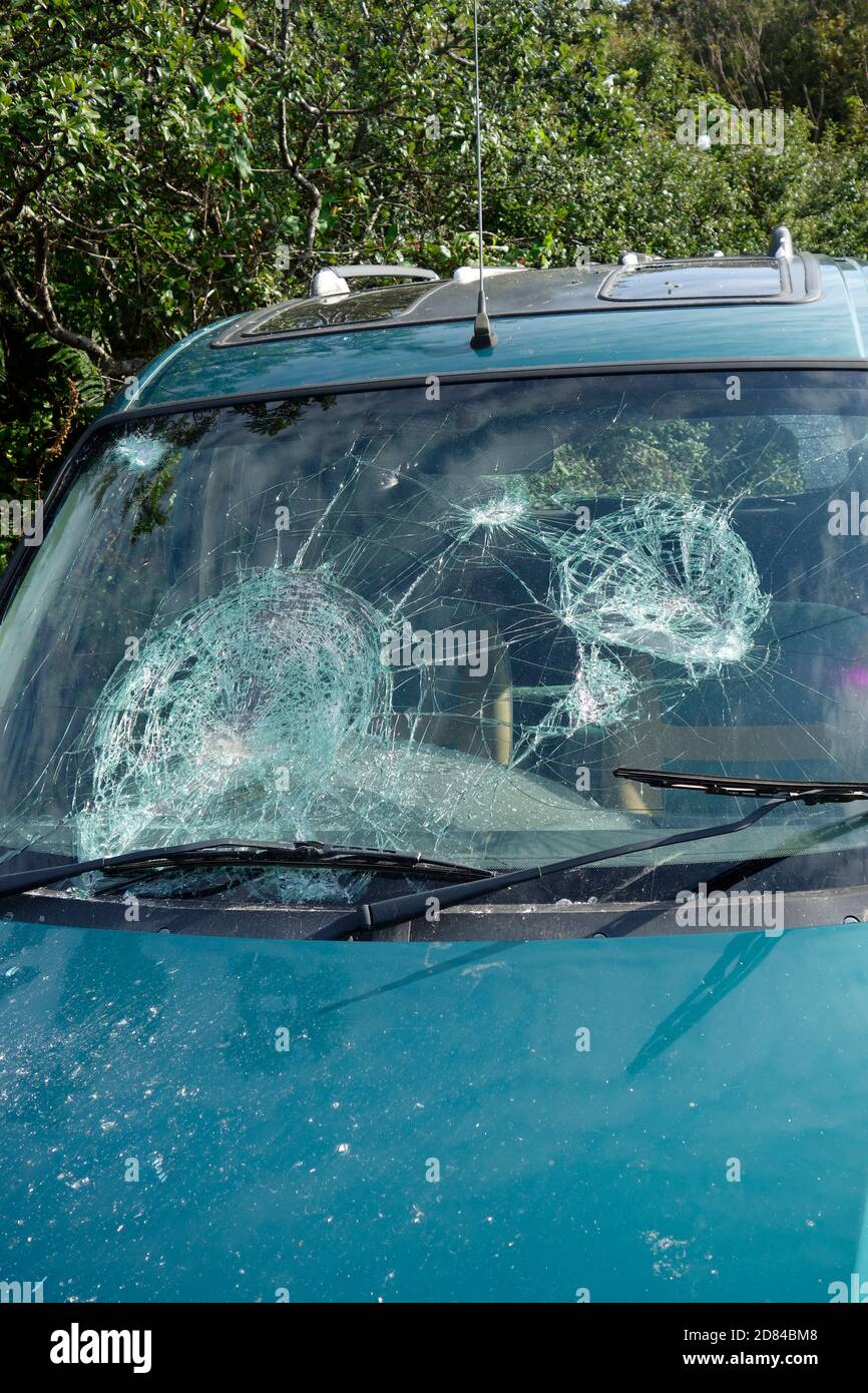 Windscreens smashed car hi-res stock photography and images - Alamy