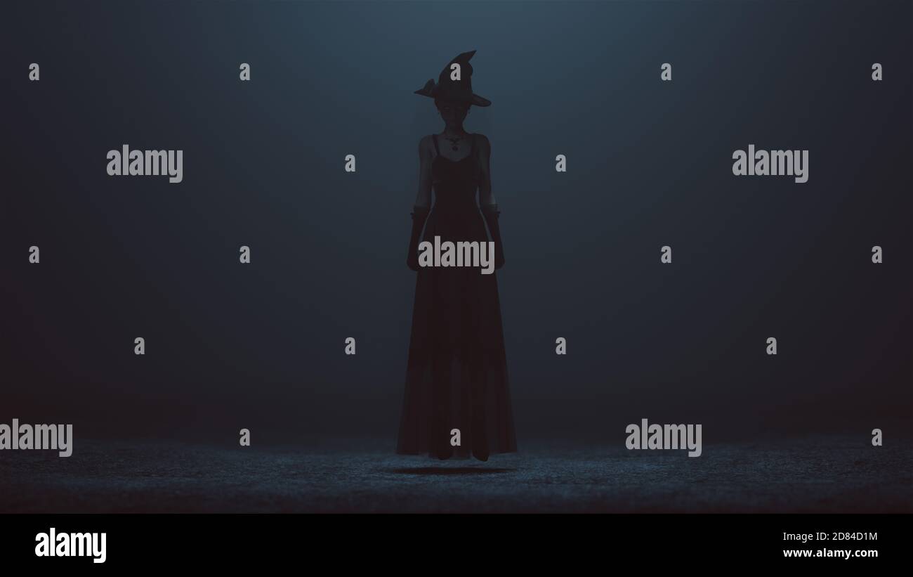 Witch with a Hat Floating Slightly Off the Ground in a foggy void 3d ...