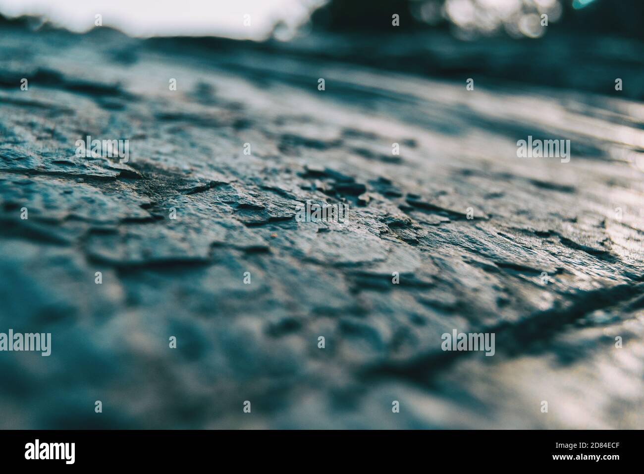 Macro of gray stone floor texture taken at ground level Stock Photo - Alamy