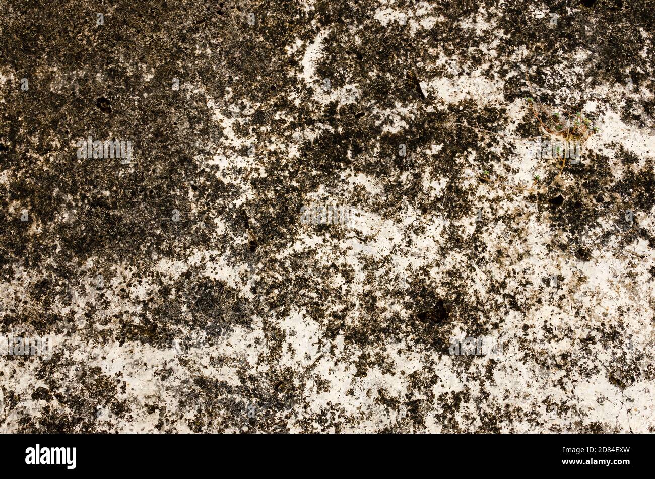 Mossy carving hi-res stock photography and images - Alamy