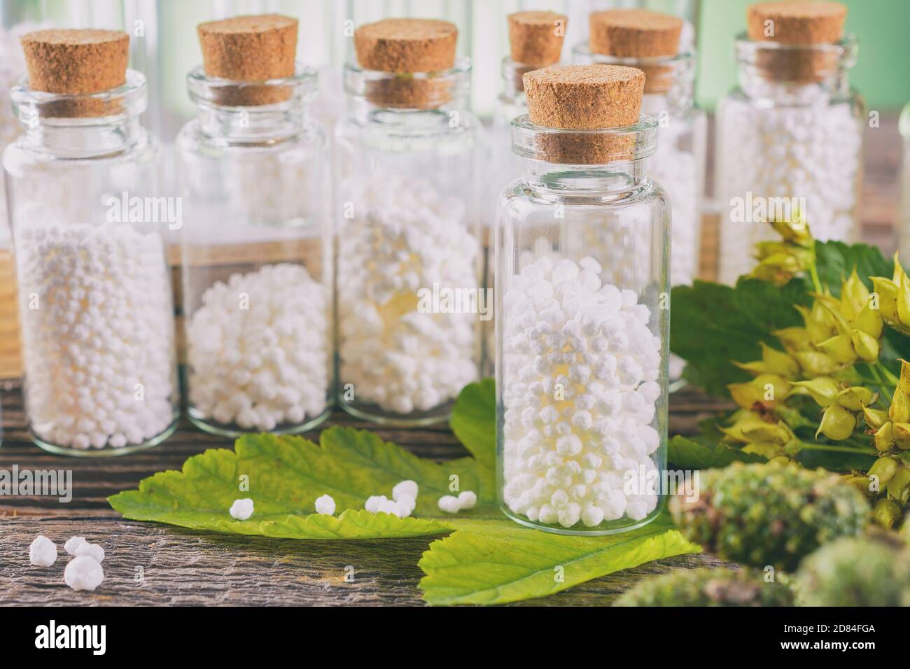 Homeopathic lactose sugar globules in glass bottles with plants Stock ...
