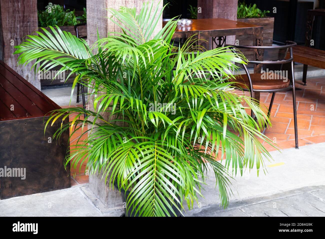 Loft design of coffee shop furniture, stock photo Stock Photo - Alamy