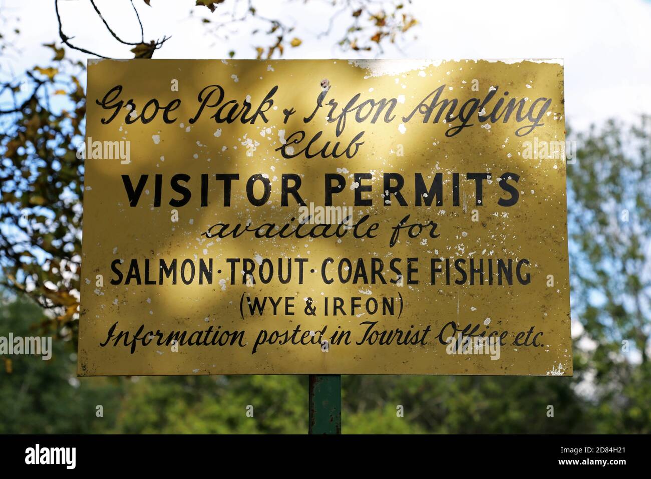 River wye autumn fish hi-res stock photography and images - Alamy