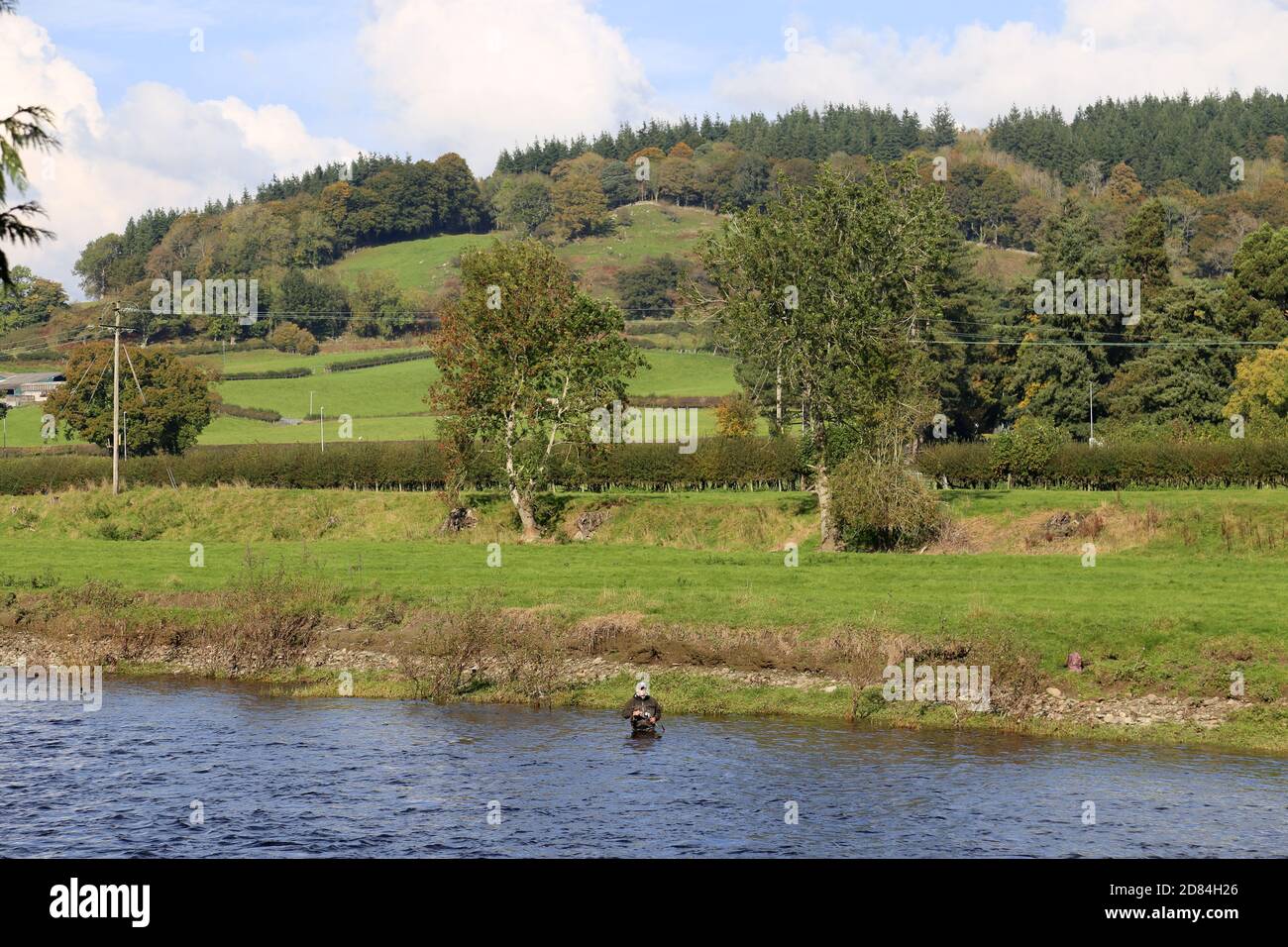 River wye autumn fish hi-res stock photography and images - Alamy