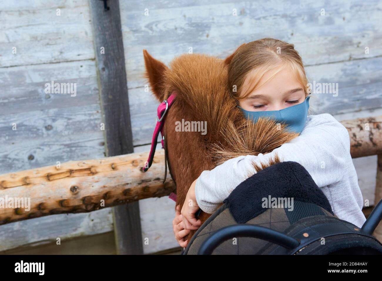 Child grooming horse hi-res stock photography and images - Alamy