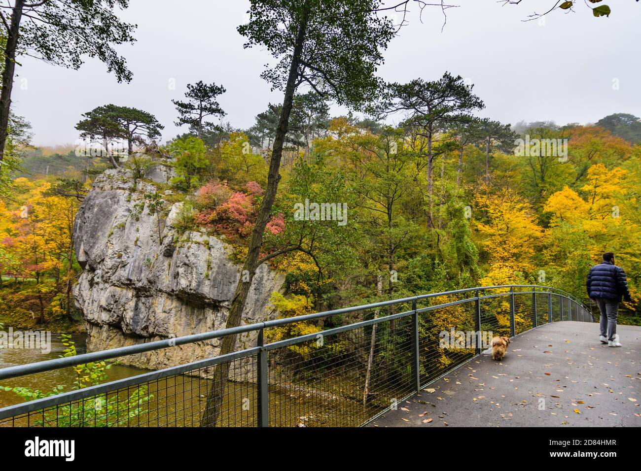 Baden: valley Helenental, river Schwechat, rock Urtelstein, bridge ...