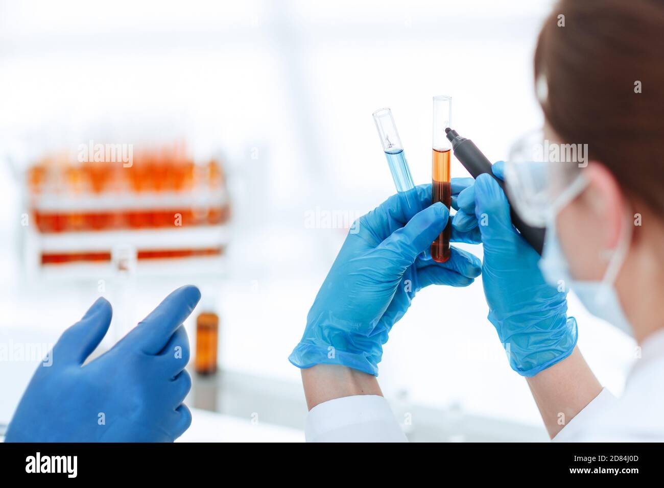 rear view . test tube in hands of the laboratory employee Stock Photo ...