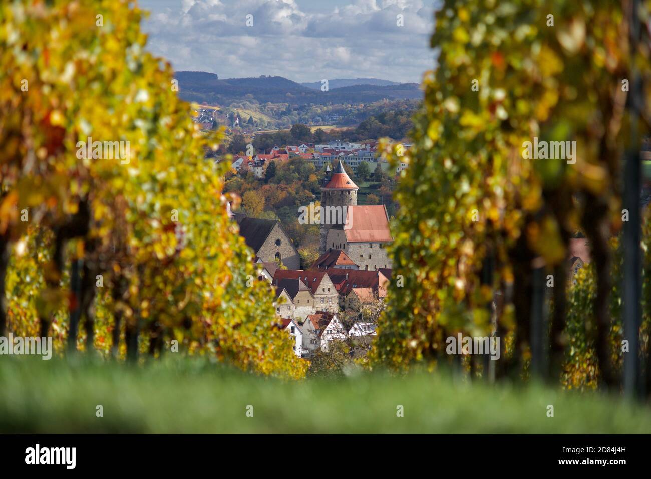 view of a medieval city with winyards during autumn Stock Photo - Alamy
