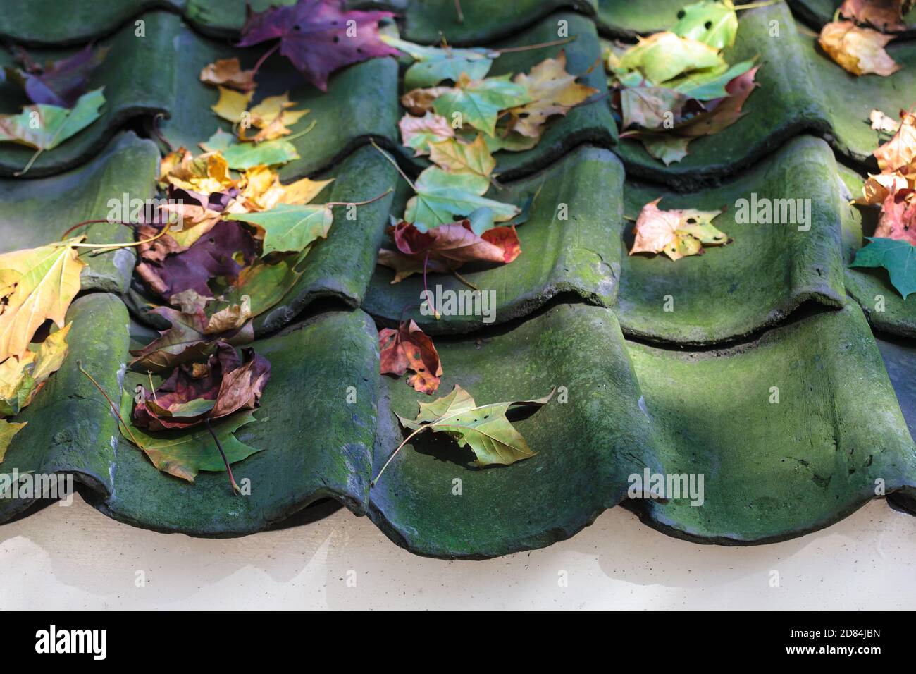 Leaves on a roof hi-res stock photography and images - Alamy