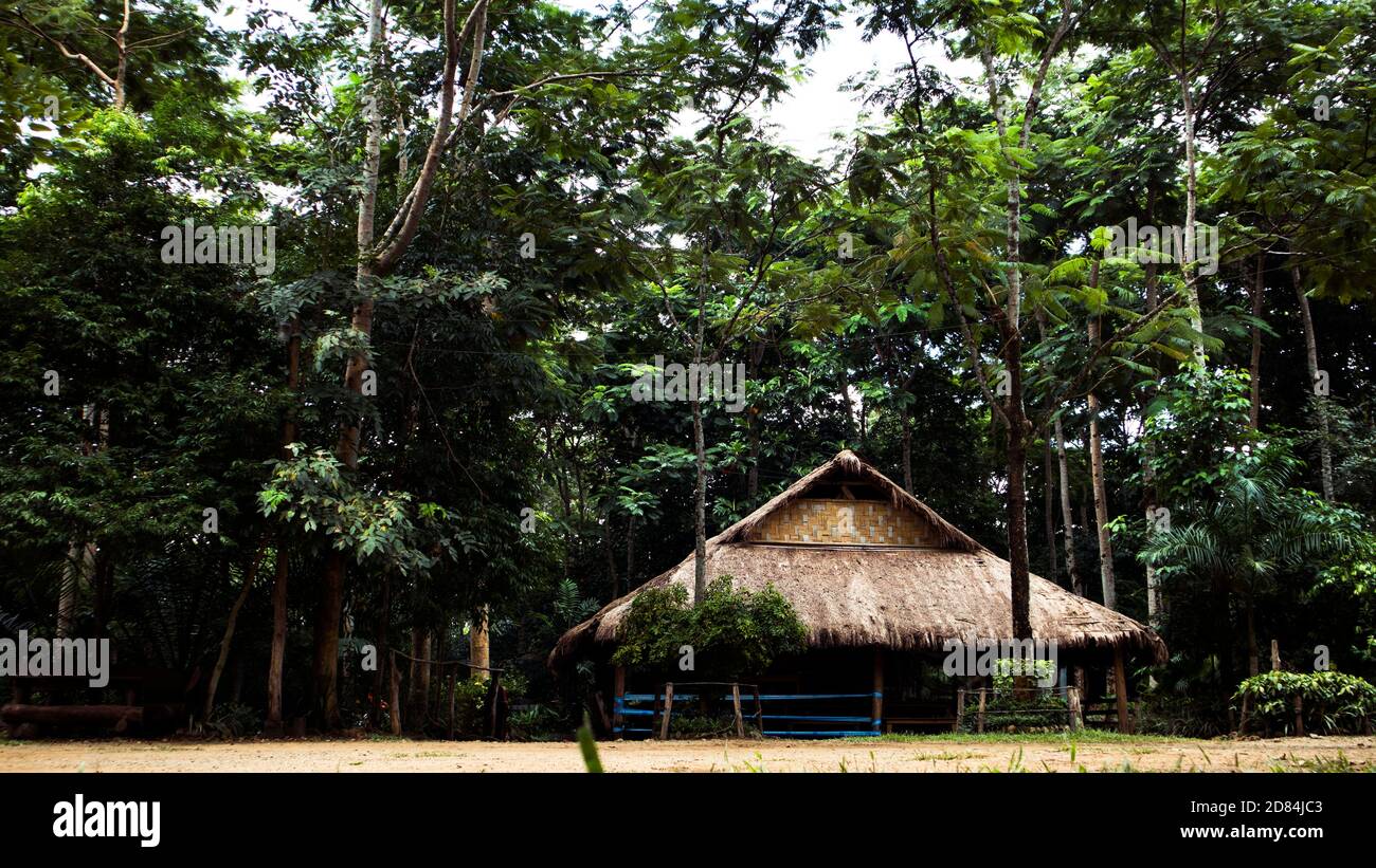 Forest tree house jungle hi-res stock photography and images - Alamy