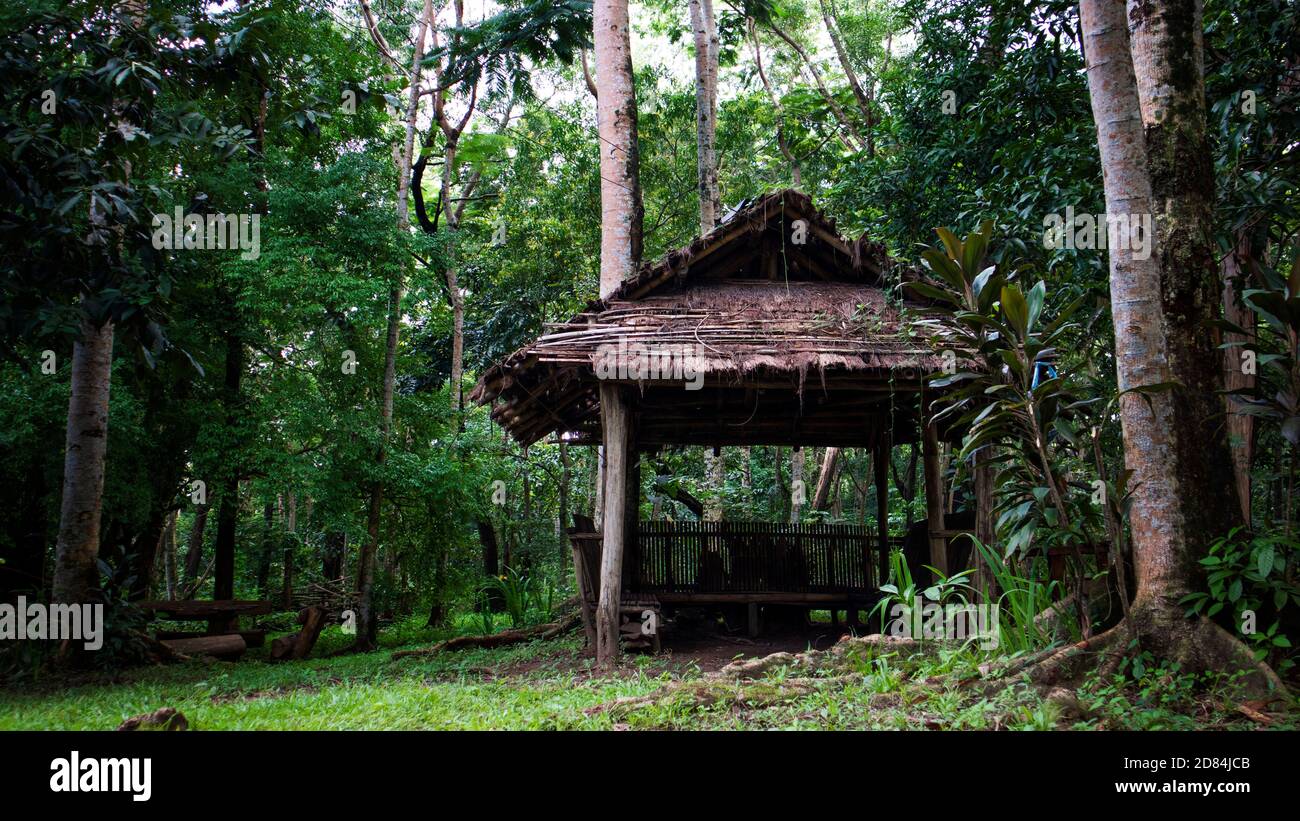 a hut in the forest Stock Photo - Alamy