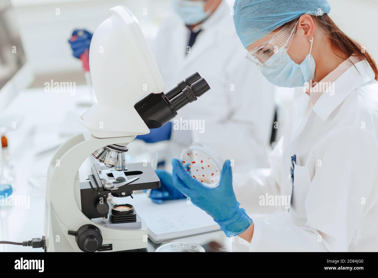 scientists investigating the development of bacteria in the laboratory ...