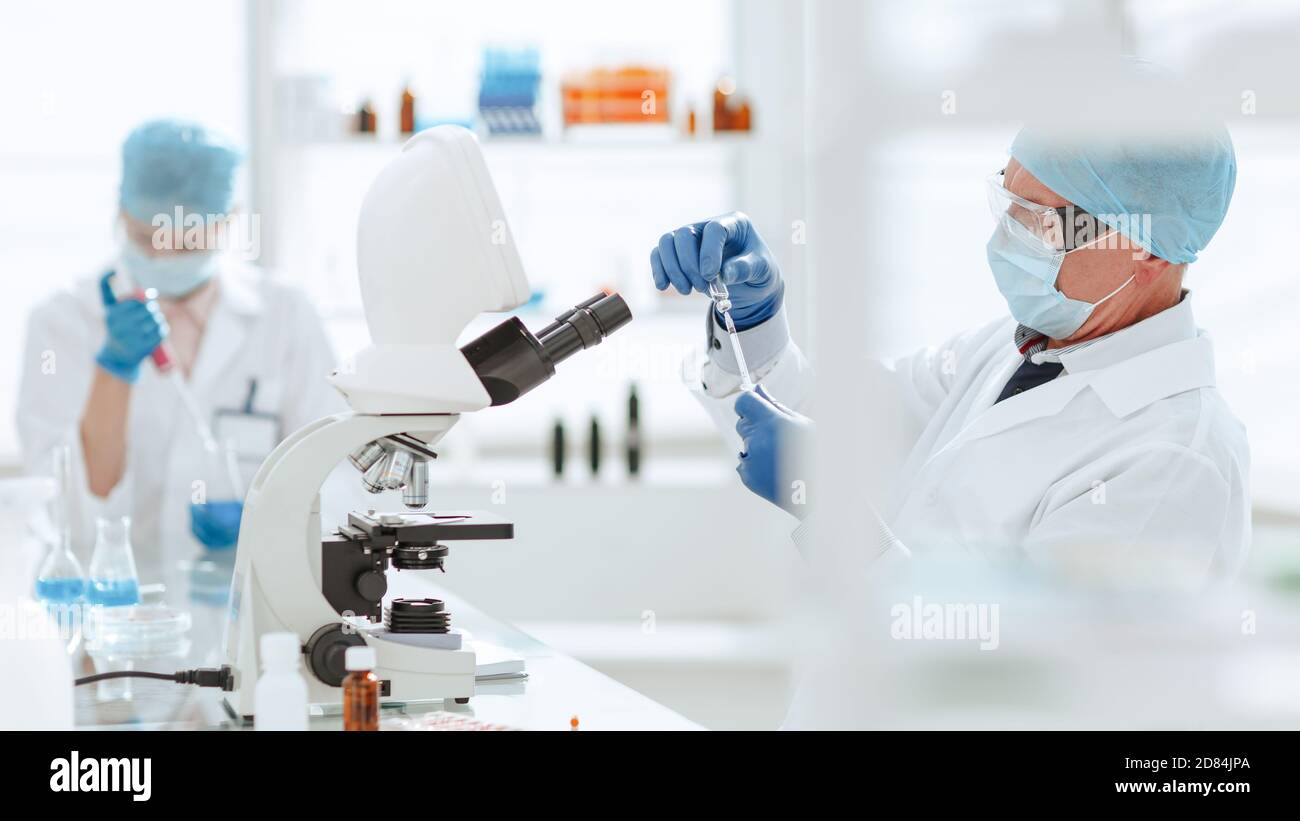 close up. scientist microbiologist working in the laboratory Stock ...