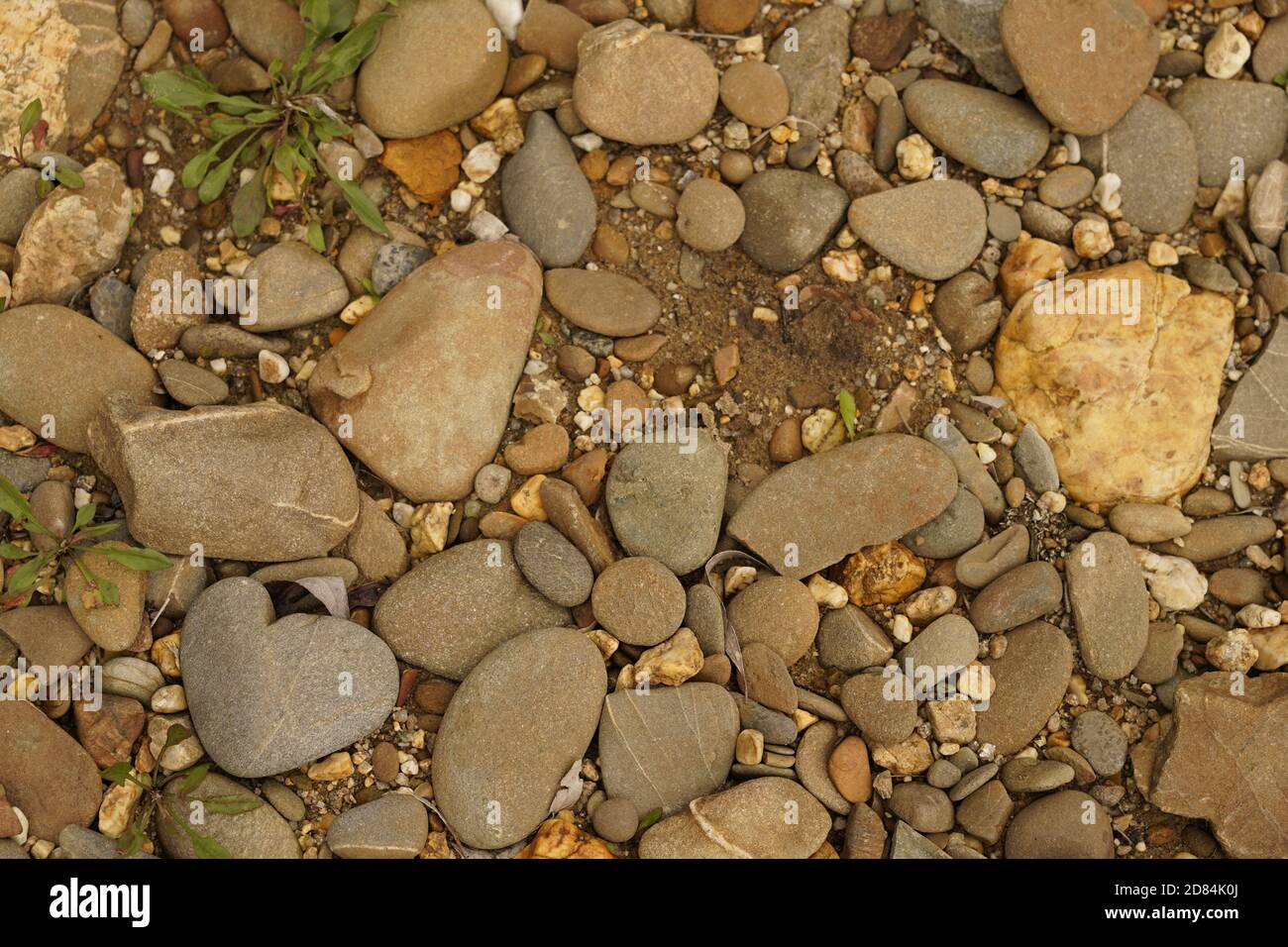 Ovens River Gold prospecting gravel Victoria Australia Stock Photo - Alamy