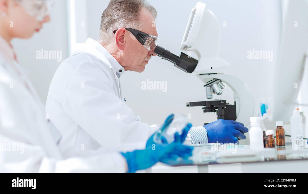 pharmacists from all over using microscope in the laboratory Stock ...
