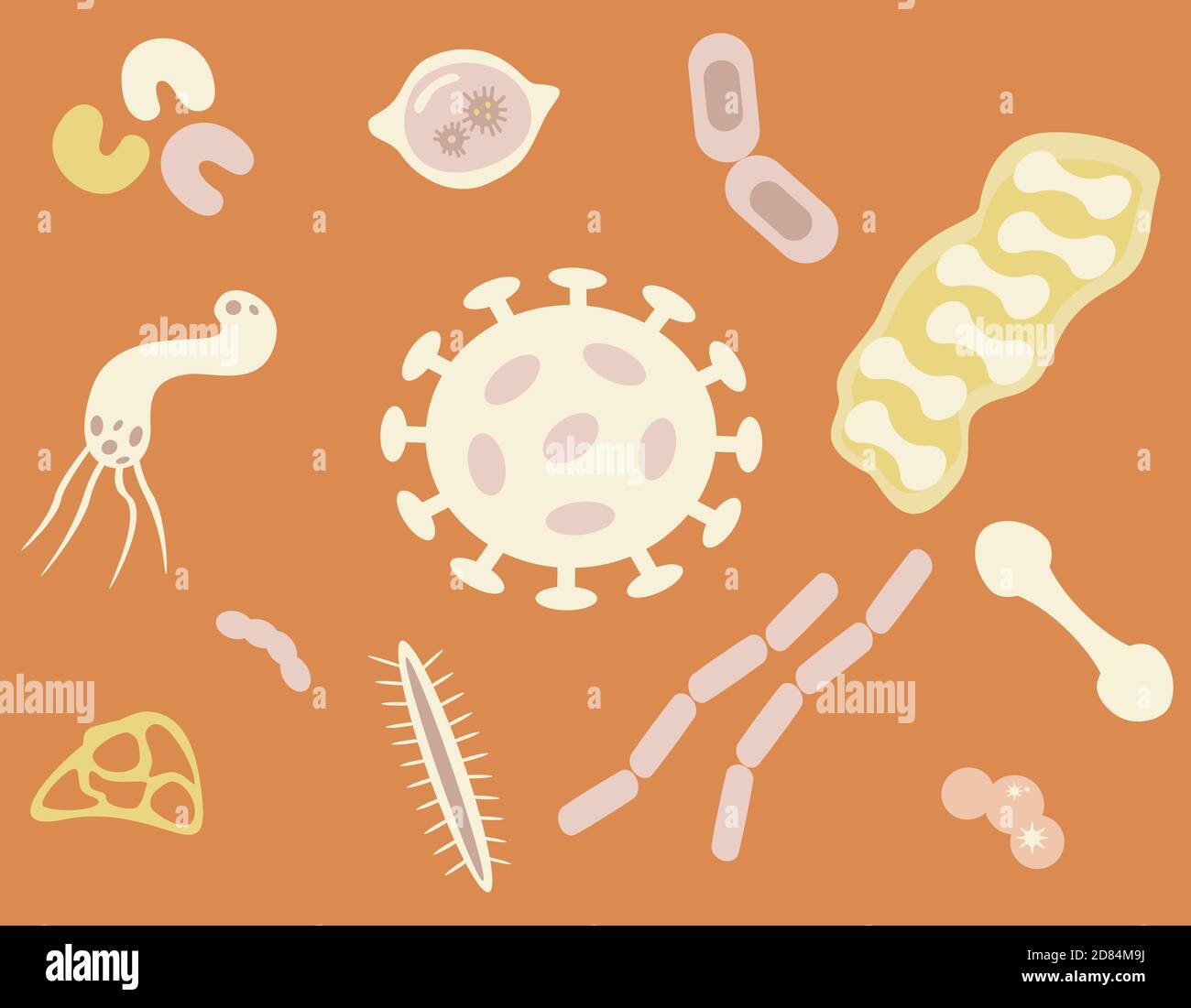 Vector set of microorganisms. Different bacteria and germs in flat ...