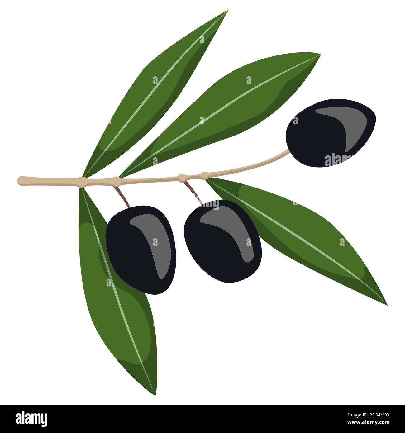 Black Olives Clipart