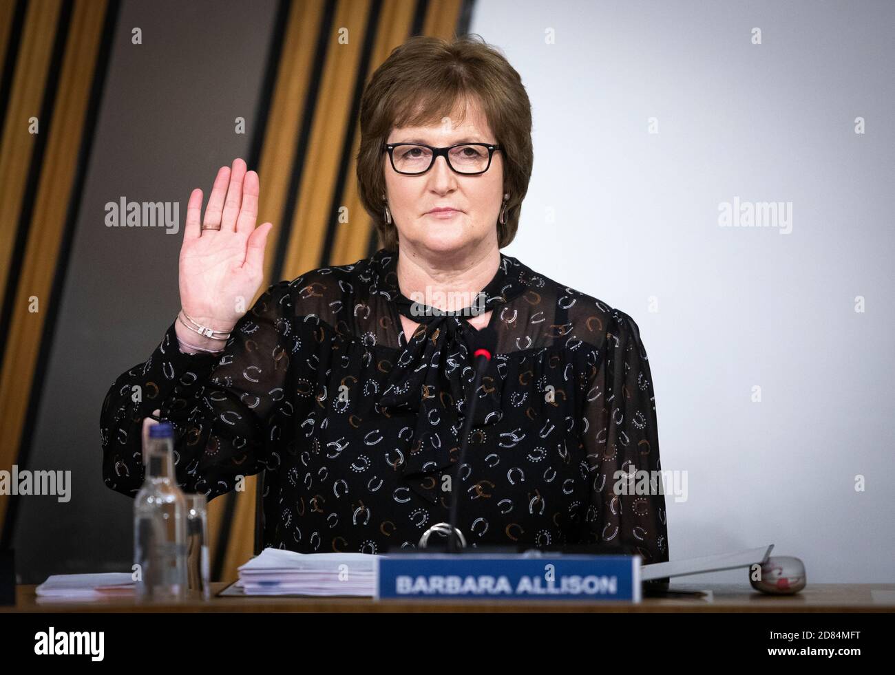 Barbara Allison, Director for Communications, Ministerial Support ...