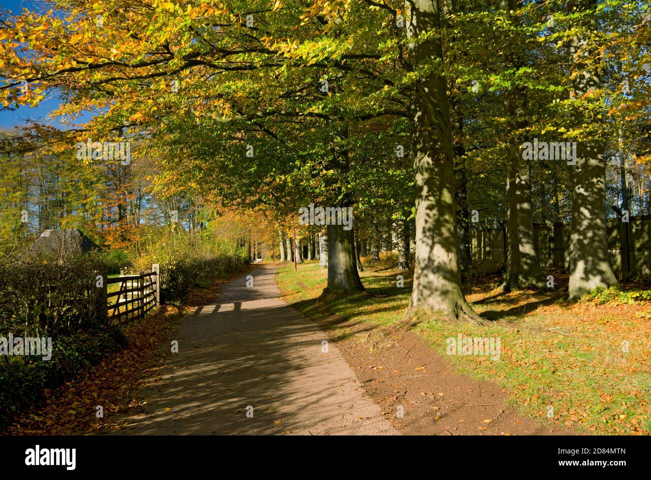 Autumn colours, National History Museum/Amgueddfa Werin Cymru, St Fagan ...