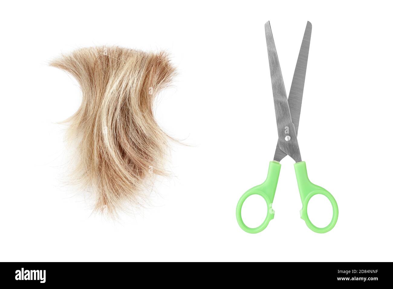 Blond lock of hair, metal open scissors white background isolated ...