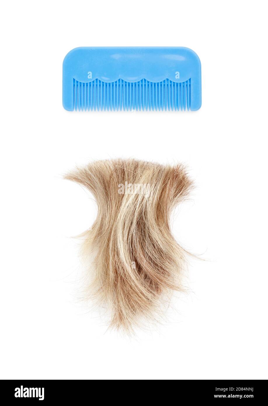 Blond lock of hair & blue plastic comb on white background isolated ...