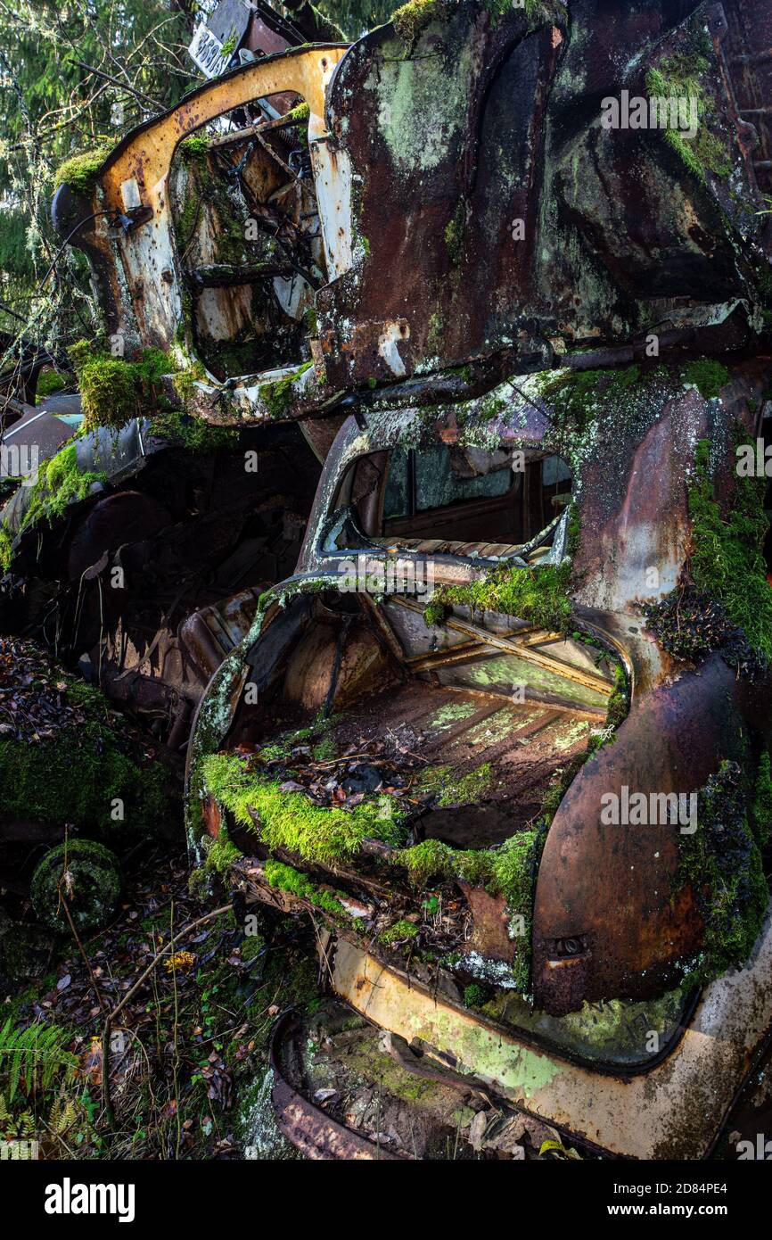rusty old timer hidden in a wood Stock Photo - Alamy