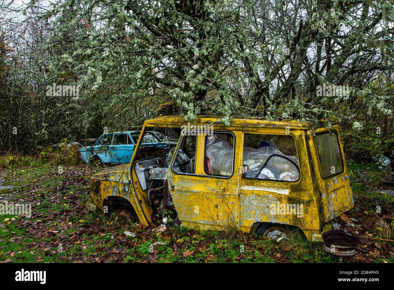 rusty old timer hidden in a wood Stock Photo - Alamy