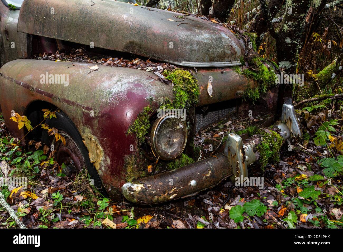 rusty old timer hidden in a wood Stock Photo - Alamy