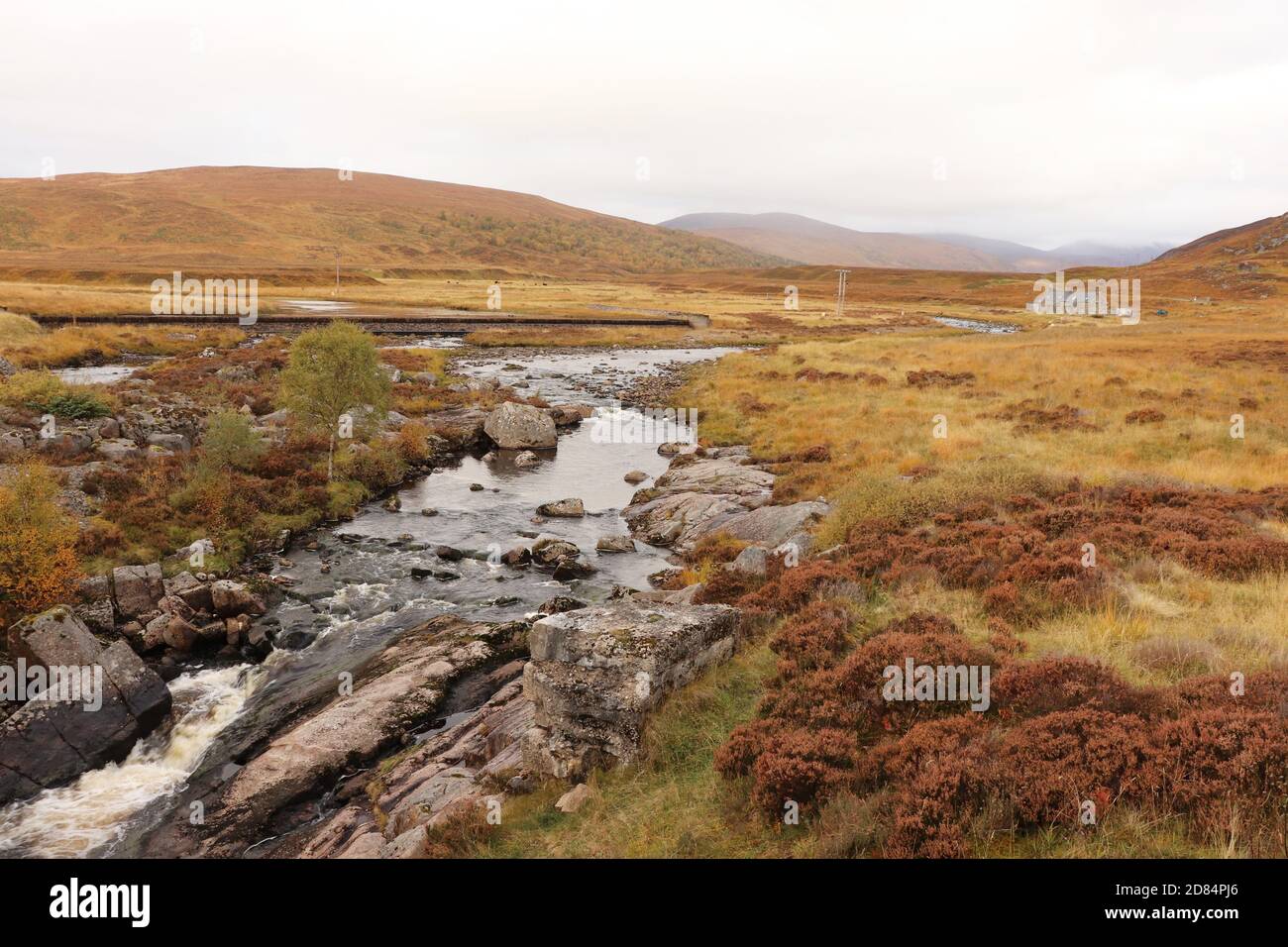 Scottish Moors High Resolution Stock Photography and Images - Alamy