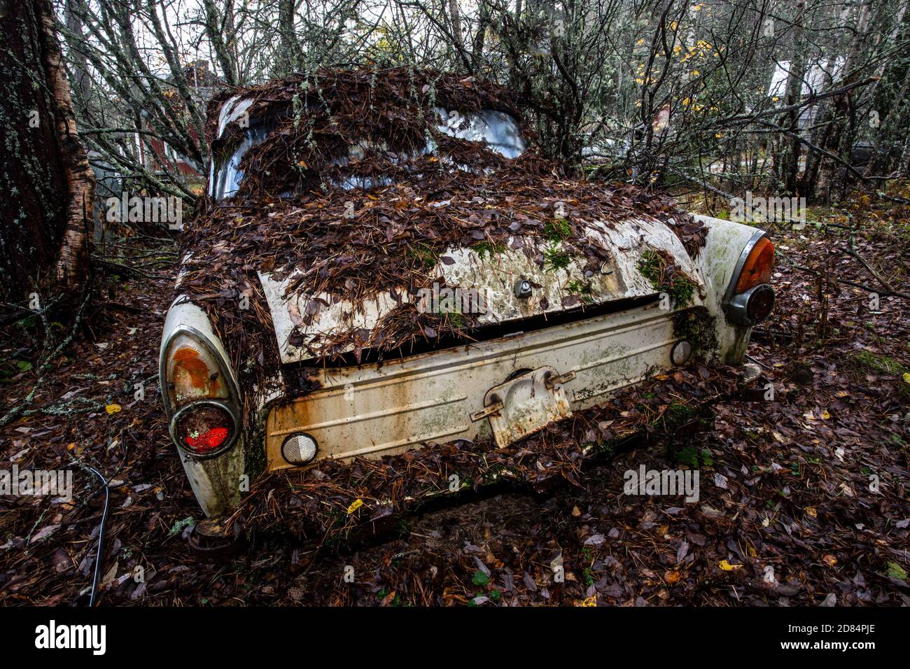 rusty old timer hidden in a wood Stock Photo - Alamy