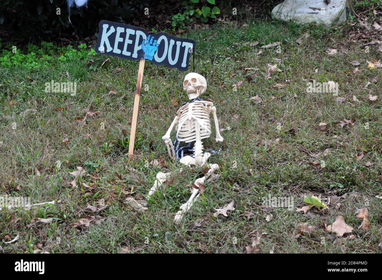 Fright night hi-res stock photography and images - Alamy