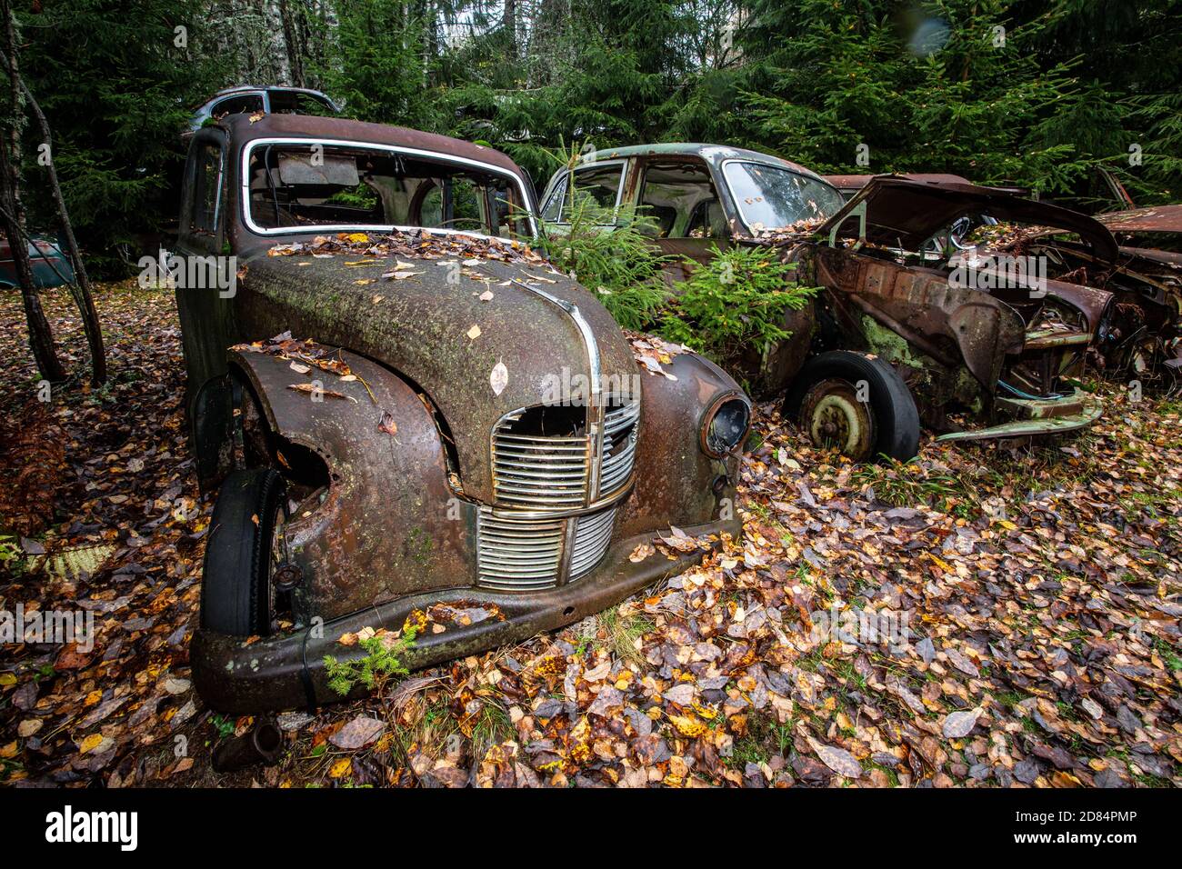 rusty old timer hidden in a wood Stock Photo - Alamy