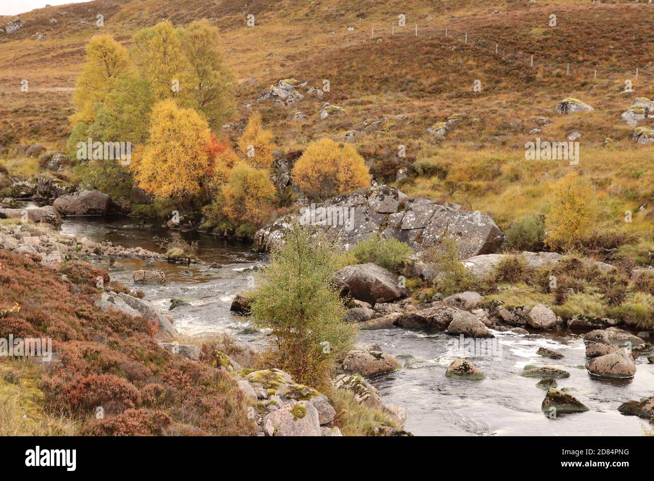 Scottish Moors High Resolution Stock Photography and Images - Alamy