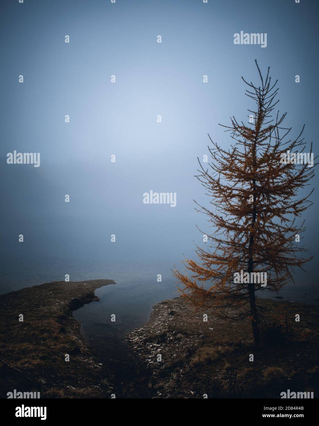 Passo del mortirolo hi-res stock photography and images - Alamy